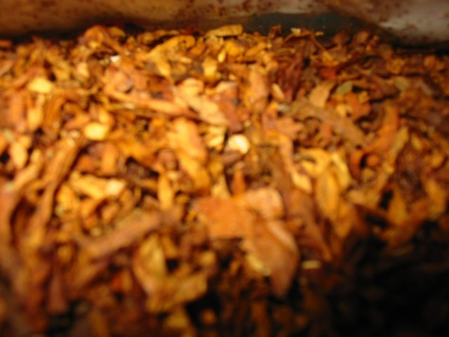 Tobacco Review – Burlington on Whyte’s Montego Bay Blend | rebornpipes